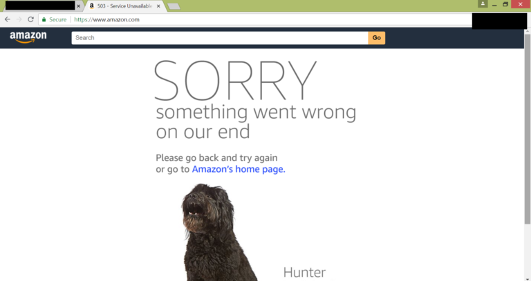 Amazon Error Pages – Learn Google