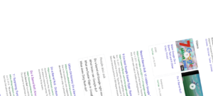 doabarrelroll – Learn Google